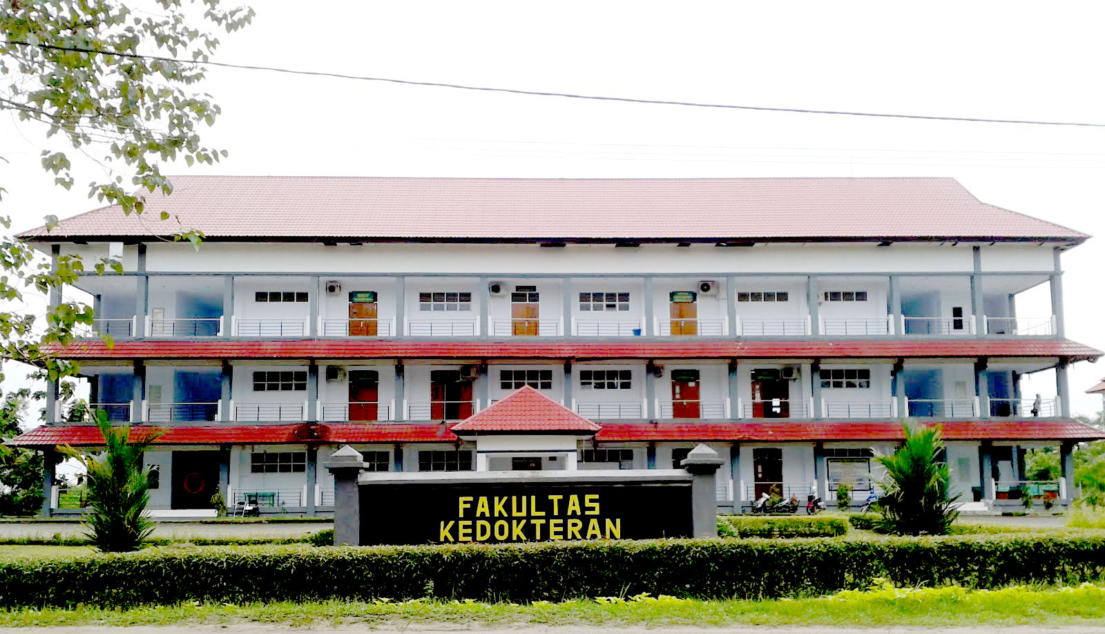 Ini Dia Pilihan Fakultas di Universitas Halu Oleo