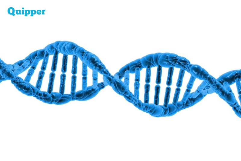 Yuk, Belajar Materi Genetik Pengertian Gen dan Alel di Sini!