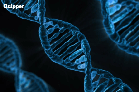 Yuk, Belajar Materi Genetik Pengertian Gen dan Alel di Sini!