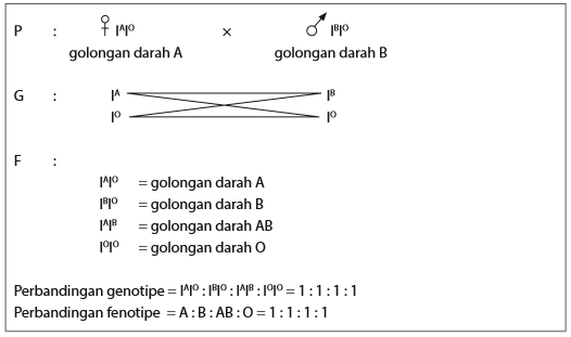 Anak Kelas 12, Simak Yuk Penyimpangan Hukum Mendel Biar Jago Materi ...