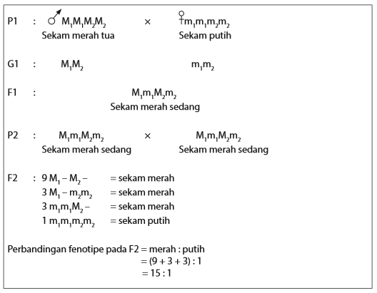 Anak Kelas 12, Simak Yuk Penyimpangan Hukum Mendel Biar Jago Materi ...