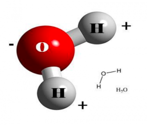 Bentuk Molekul: Tipe dan Teori VSEPR, Domain Elektron dan Hibridasi ...