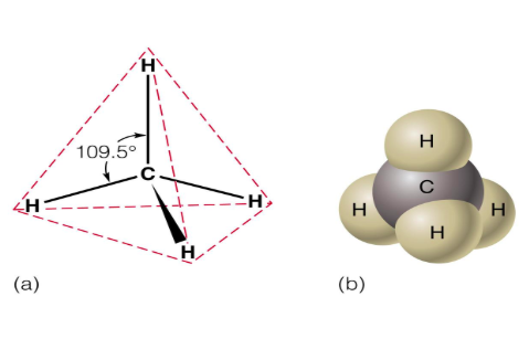 Bentuk Molekul: Tipe dan Teori VSEPR, Domain Elektron dan Hibridasi ...