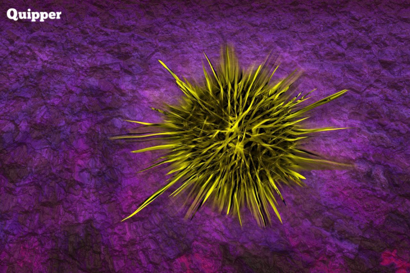 Reproduksi Bakteri - Biologi Kelas 10 - Quipper Blog