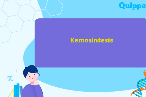 Respirasi Aerob - Biologi Kelas 12 - Quipper Blog